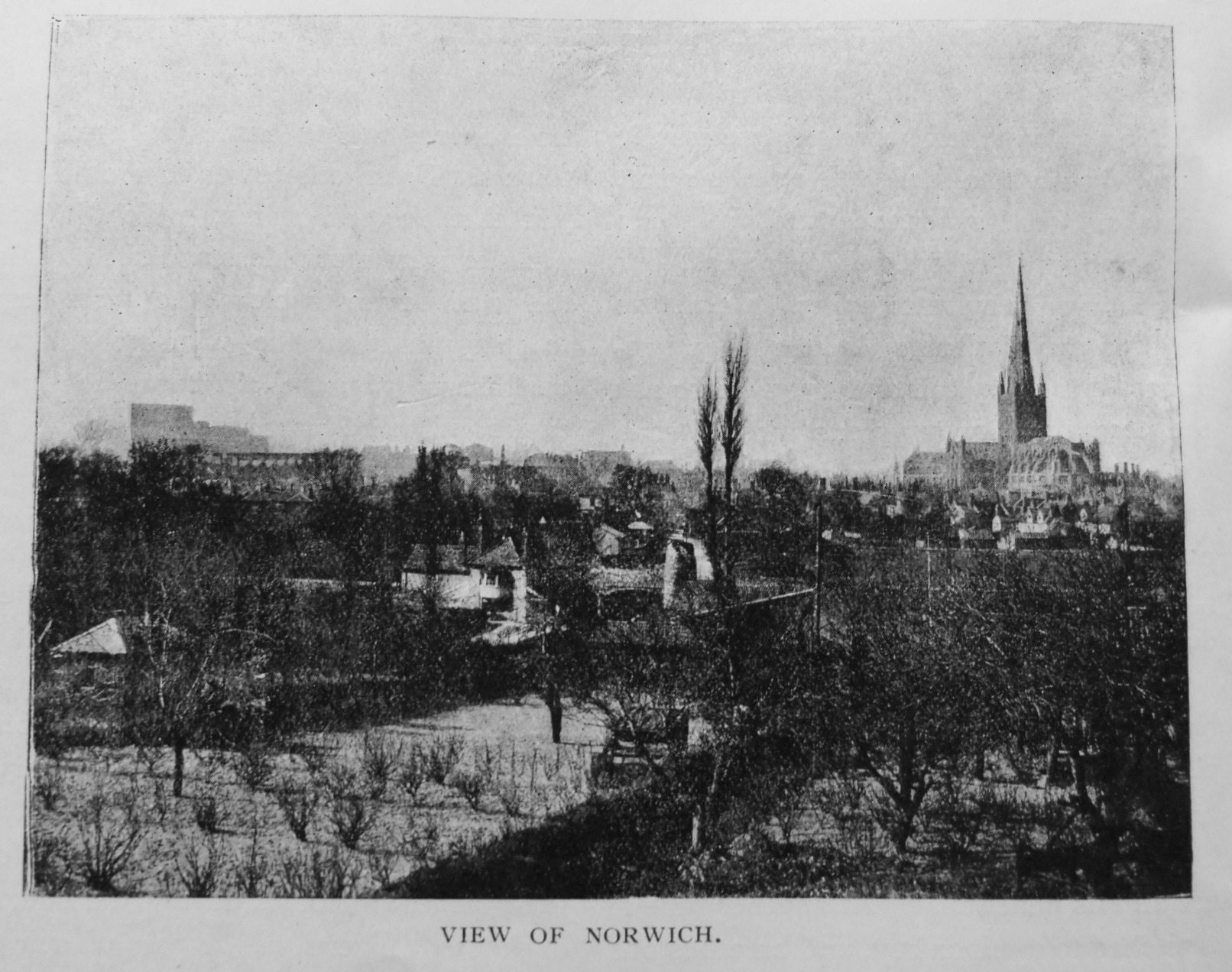 10. Decline and Revival | How we Won East Anglia | My Primitive Methodists