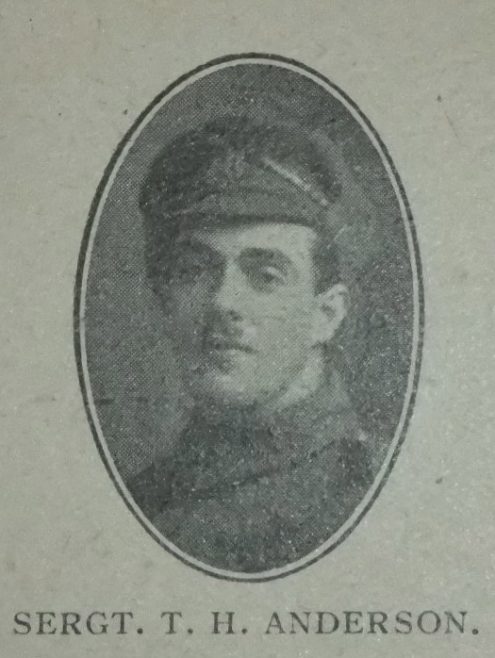 Anderson, Thomas Henry (1894-1916) | World War 1 Obituaries | My ...