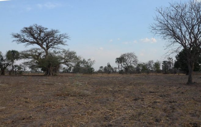 Old Kasenga, Zambia | Africa | My Primitive Methodists