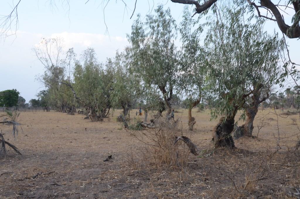 Old Kasenga, Zambia | Africa | My Primitive Methodists
